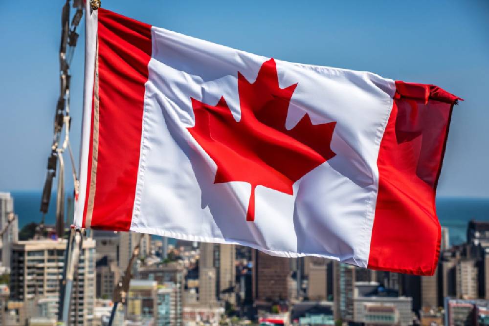 Study in Canada with Domain International